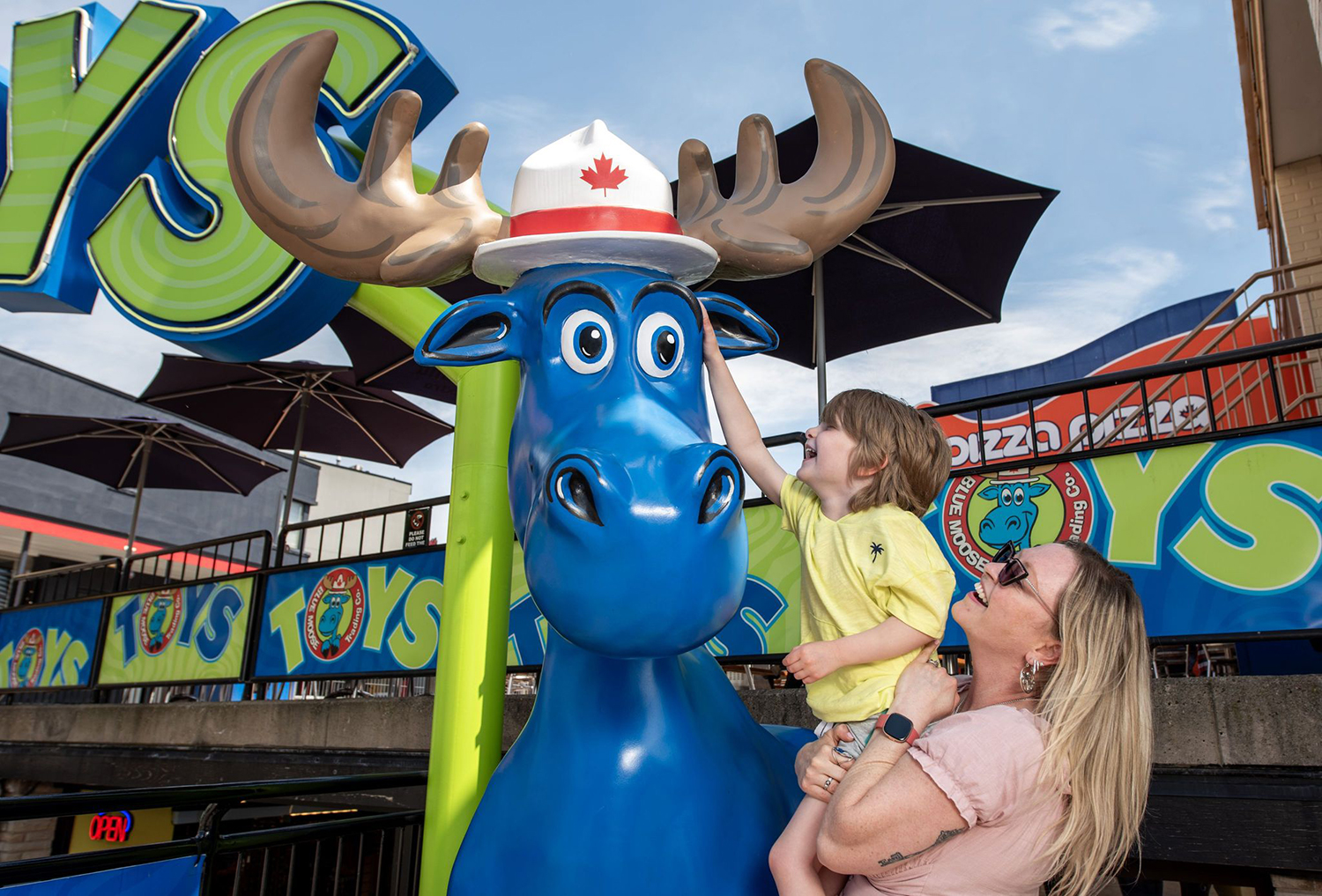 Blue Moose Toys - Niagara Clifton Group